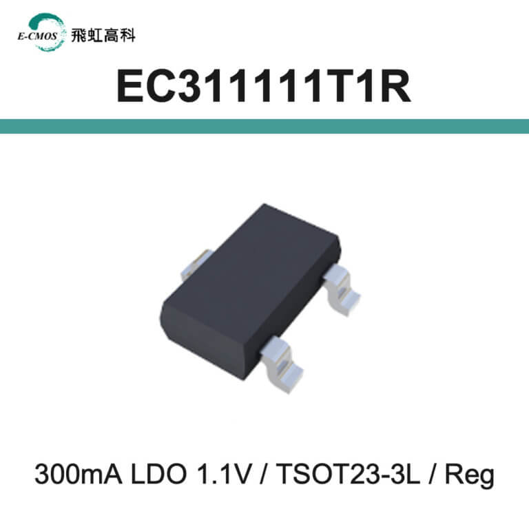 EC311111T1R – 飛虹高科股份有限公司